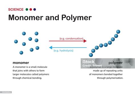 Understanding Chemistry From Monomer To Polymer Monomers The Building Blocks Of Polymers Join