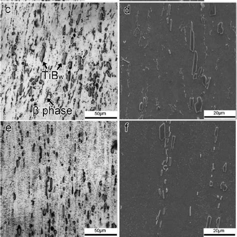 Microstructure Of 75 Vol Tibwnear α Ti Composite Deformed At 900 °c