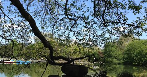 Blog Of Former Mysql Entomologist Mysql Support Engineers