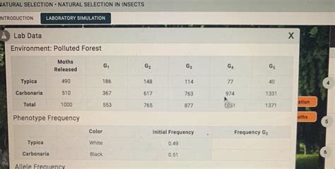Natural Selection Natural Selection In Insects