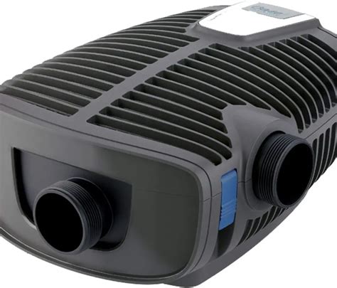 Koi Fish Sex Identification How To Tell If Your Koi Are Male Or Female