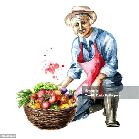 수석 농부는 신선한 채소의 전체 바구니와 함께 무릎에 앉아 있다 수채화 손으로 그린 그림 흰색 배경에 고립 가리키기에 대한 스톡 벡터 아트 및 기타 이미지 Istock