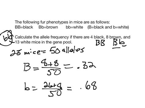 Genotype Frequency