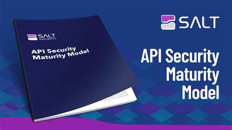 The Salt Api Security Maturity Model