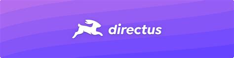 develop a custom hook extension for directus by ken yip javascript