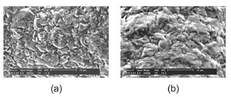 Sem Micrograph Of The Electrodeposited Nickel Before A And After B