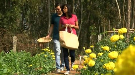 બેંગલુરુની ફાર્મિજેન ઍપ ખેતર ભાડે આપે છે Bbc News ગુજરાતી