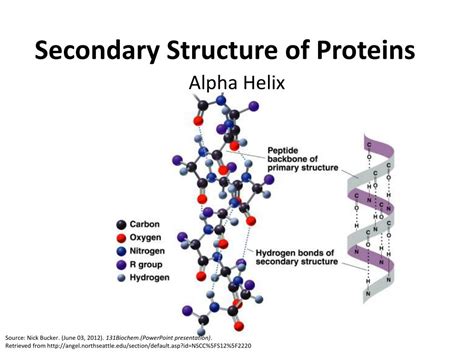 PPT PROTEIN STRUCTURE PowerPoint Presentation Free Download ID
