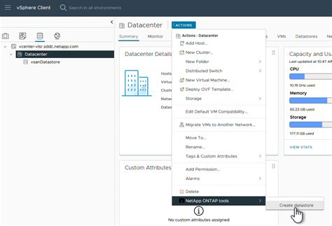 Convert Vcenter Server Instance To Vcf Management Domain Nfs Datastore
