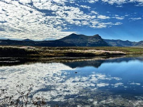 Lesersfoto I Milde Reën Verras Op Kersdag Volksblad