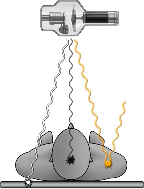 Radiation Dose And Safety Clinical Tree