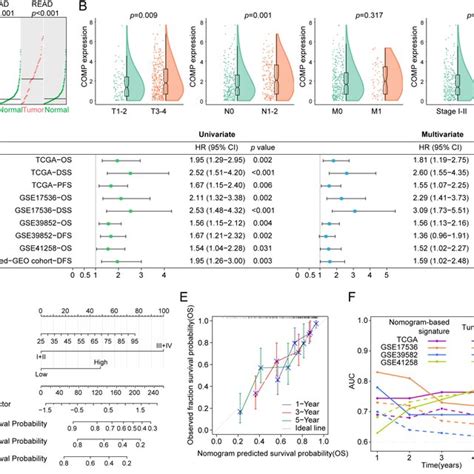Evaluation And Validation Of The Prognostic Value Of Comp A Analysis Download Scientific