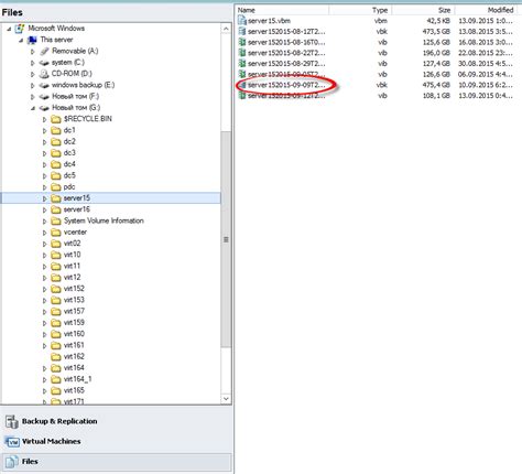Veeam Restore Guest Files Windows
