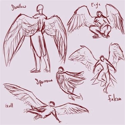Wings Body Positions How To Draw Manga Anime Desenhando Esboços