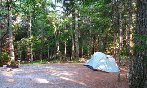 Blackwoods Campground Acadia National Park Alltrips