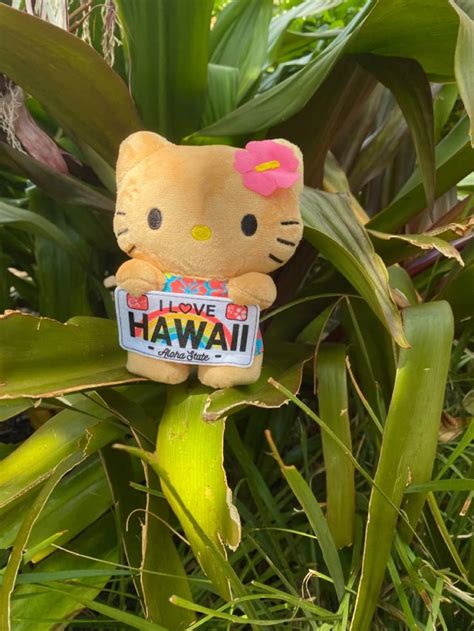 Hello Kitty Hawaii Sanrio Hello Kitty Hello Kitty Hello Kitty Wallpaper