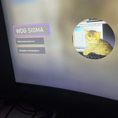 Stepsis Youtube