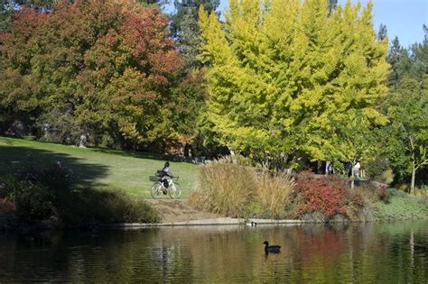 Strolling The Arboretum At Uc Davis Visit Yolo County California