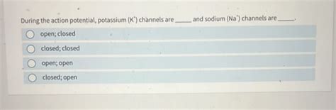During The Action Potential Potassium K Studyx