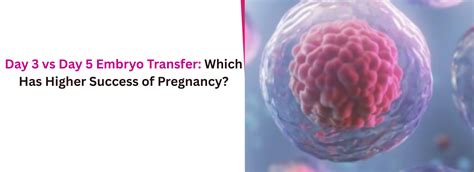 Embryo Transfer के बाद Pregnancy Test कब करें Ivf Patients Guide