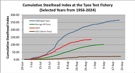 Skeena Steelhead Are Having A Good Year What Does That Mean Wild