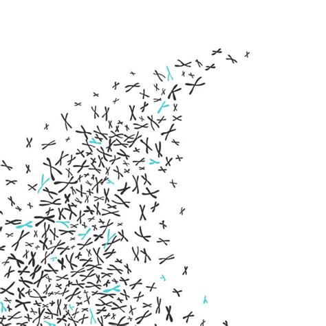 Xy Chromosomes Illustrations Royalty Free Vector Graphics And Clip Art