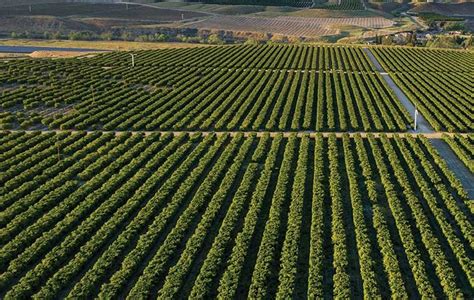 Alexis Stepter On Linkedin Musco A Well Oiled Supply Chain