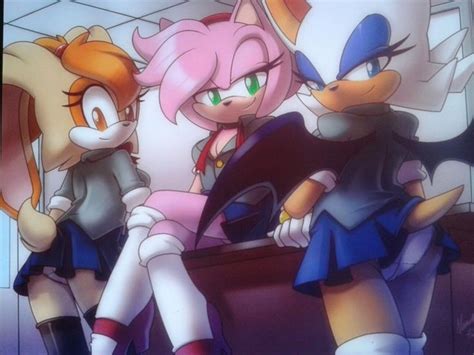 Pin By Laura Molero On Sonic Team Rouge The Bat Sonic Amy Sonic Art