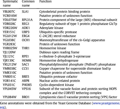 List Of The Mutants That Show Boron Sensitivity Download Table