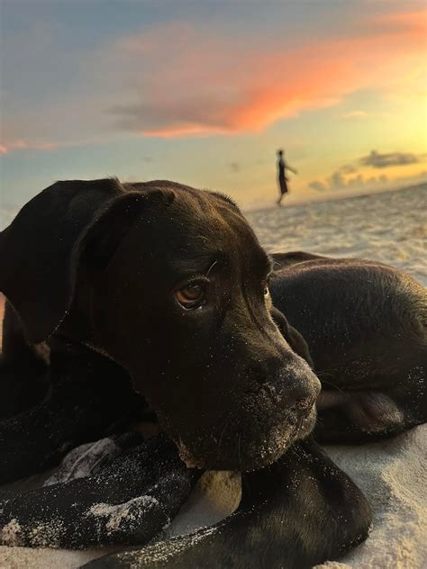 Stephani Valadez Added A New Photo Stephani Valadez