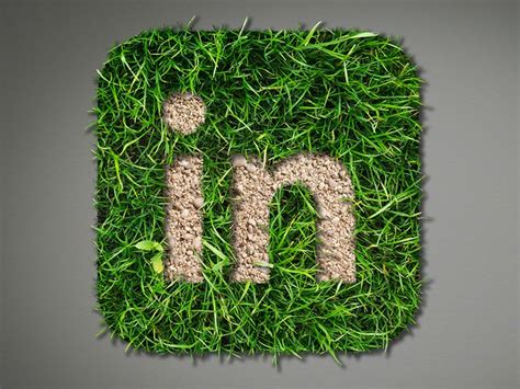 Linkedin Nature Icon By Kenneth Shinabery