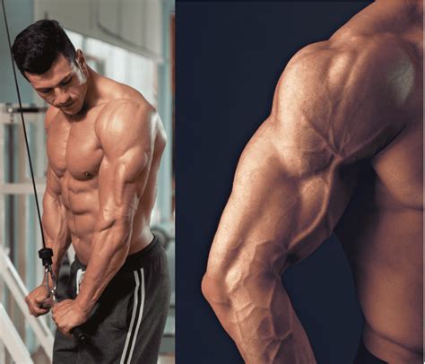 EZ Curl Bar Exercises Arm Yourself With Knowledge In This Comprehensive Guide