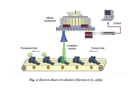 E Beam Radiation And Its Role In Food Processing
