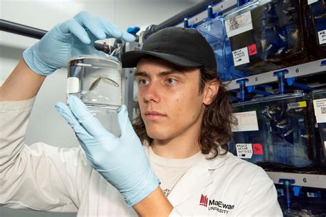 Alberta Scientist Gets Fish Hooked On Drugs Rocky Mountain News