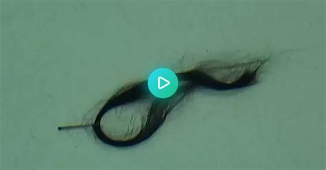 Please Take Your Weave Out Before Getting In The Pool Album On Imgur