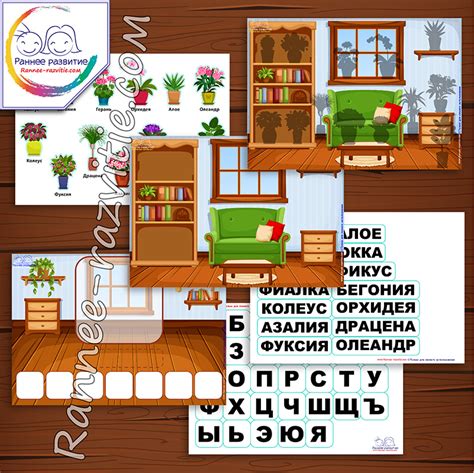 Дидактическая игра «Комнатные цветы» - Скачать шаблон | Раннее развитие