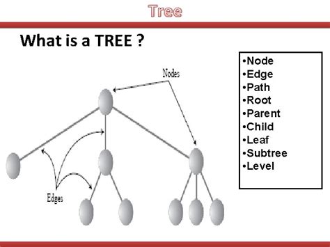 Tree What Is A TREE Node Edge Path