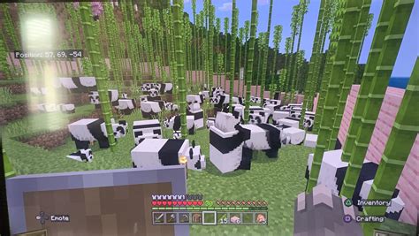 Pandas R Minecraft