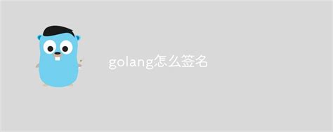 how to sign in golang golang php cn