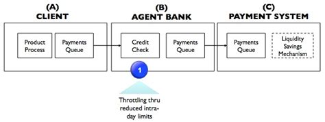 Intraday Liquidity The Nostros And Intraday Limits 3c Advisory