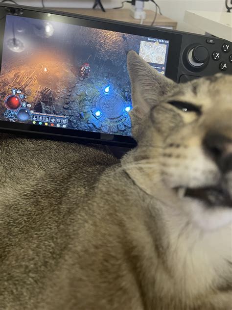 Where Is The Serial Number On The Steamdeck R Steamdeck