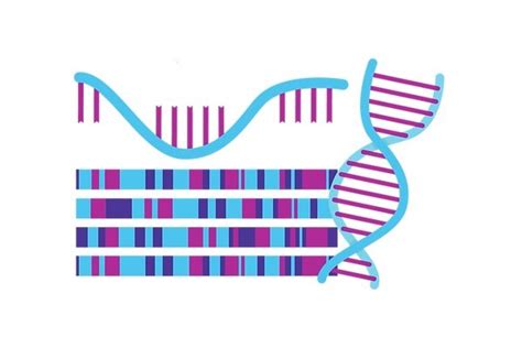 Compbio Omics Analysis Software