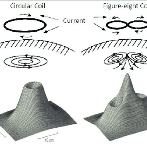 Magnetic Field Strength Induced By Circular Coil And Figure Of Eight