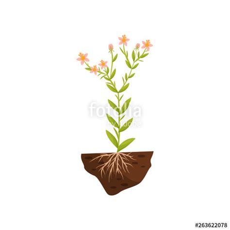 Soil Vector At Vectorified Com Collection Of Soil Vector Free For Personal Use