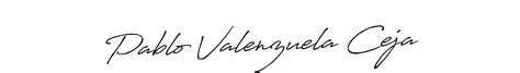 79 Pablo Valenzuela Ceja Name Signature Style Ideas Perfect Esignature
