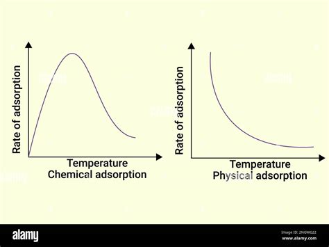 Graph Of Temperature Chemical Adsorption And Temperature Physical Adsorption Stock Vector Image