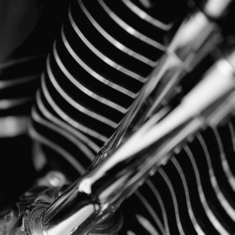 Pause At You Single By Courting Spotify