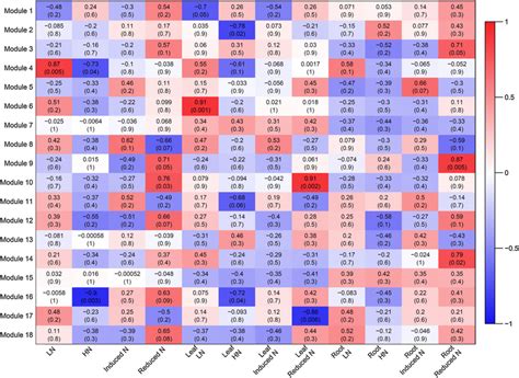 Heatmap Representing The Strength And Significance Of Correlations