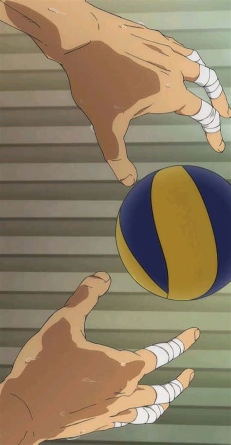 [100 ] Cute Volleyball Wallpapers