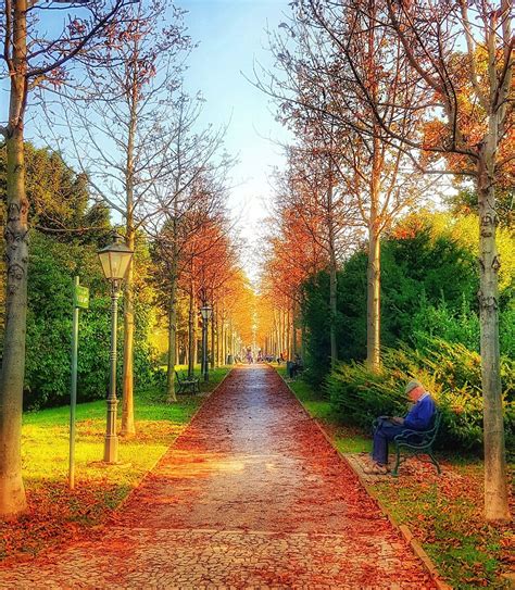 Carl Jung — You Are Not What Happened To You By Thomas Oppong Personal Growth Medium